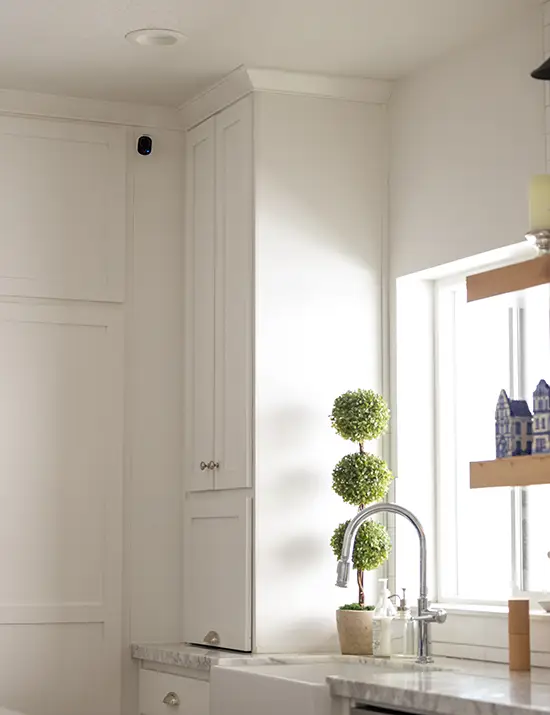 Cameras - SyberSense